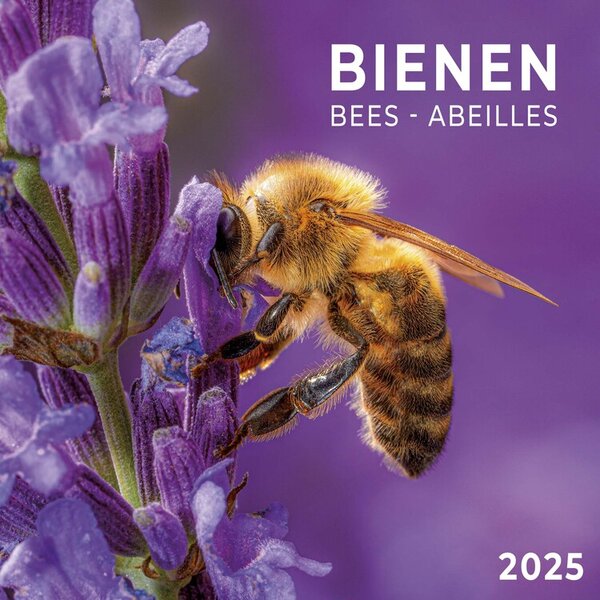 Calendario 2025 Bees | FAVI.it