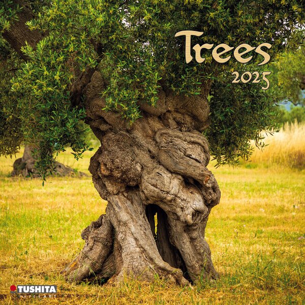 Calendario 2025 Trees | FAVI.it